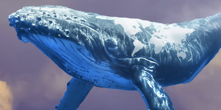 Whale sells 1,010 NFTs in largest NFT dump ever - Coincroco